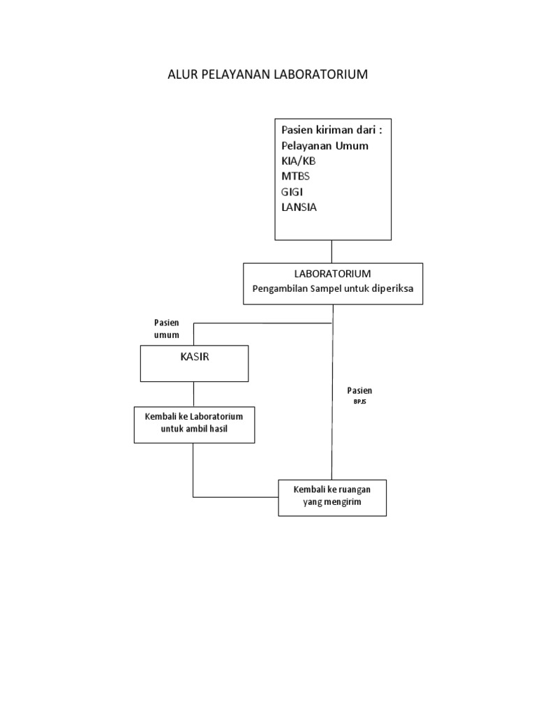 Alur Pelayanan Laboratorium | PDF