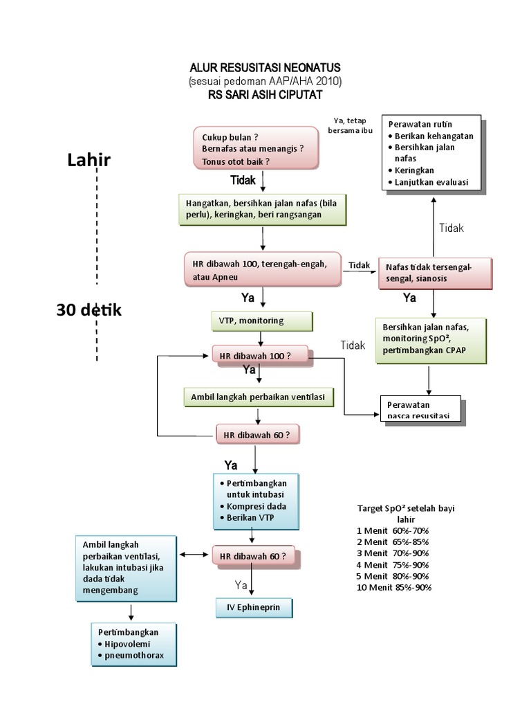 Alur Resusitasi Neonatus | PDF