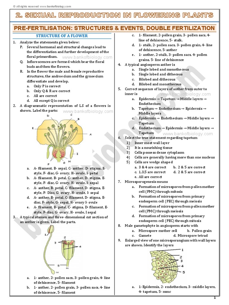 2 Sexual Reproduction in Flowering Plants - Entrance Questions N ...