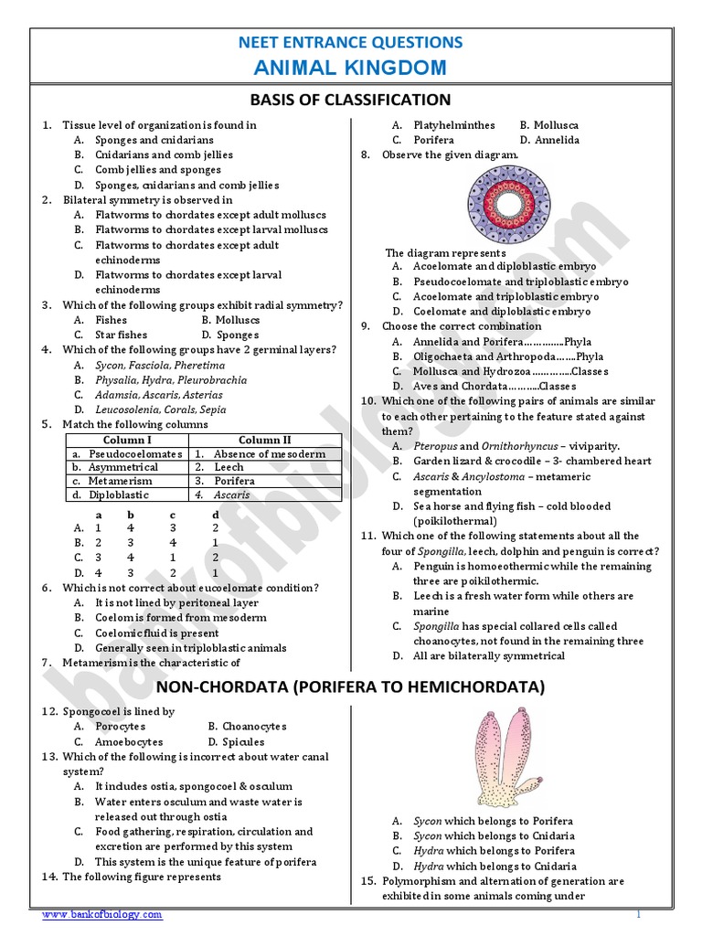 NEET Animal Kingdom Classification Quiz | PDF | Organisms | Zoology