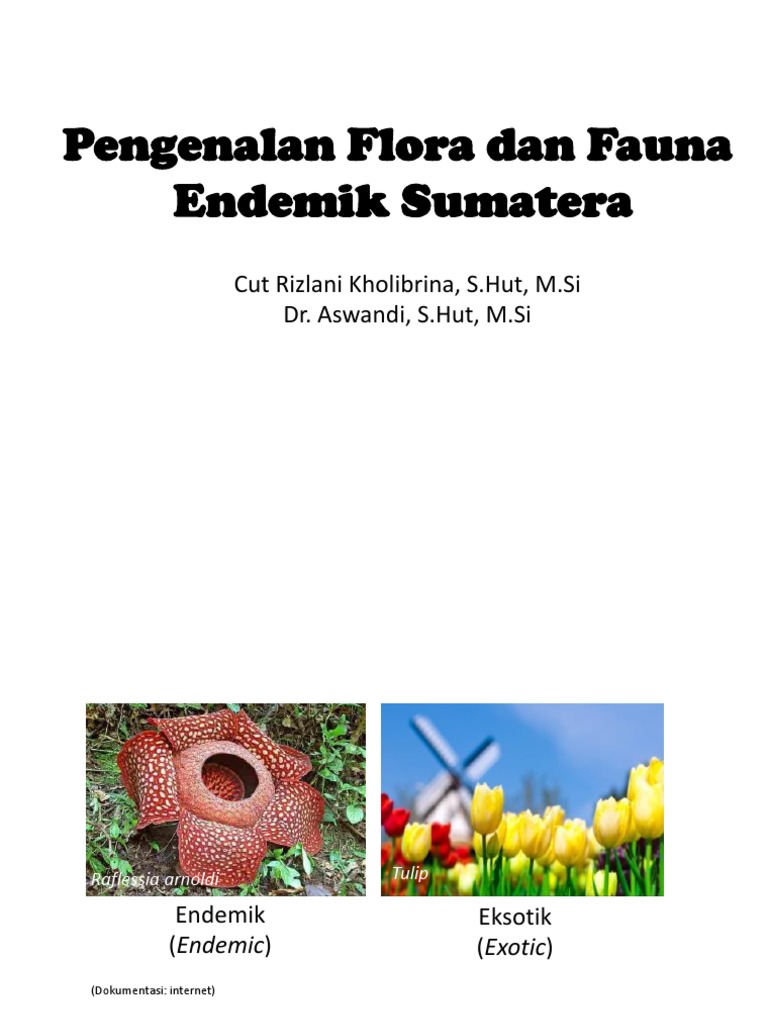 Keanekaragaman Flora Fauna Endemik Sumatera | PDF
