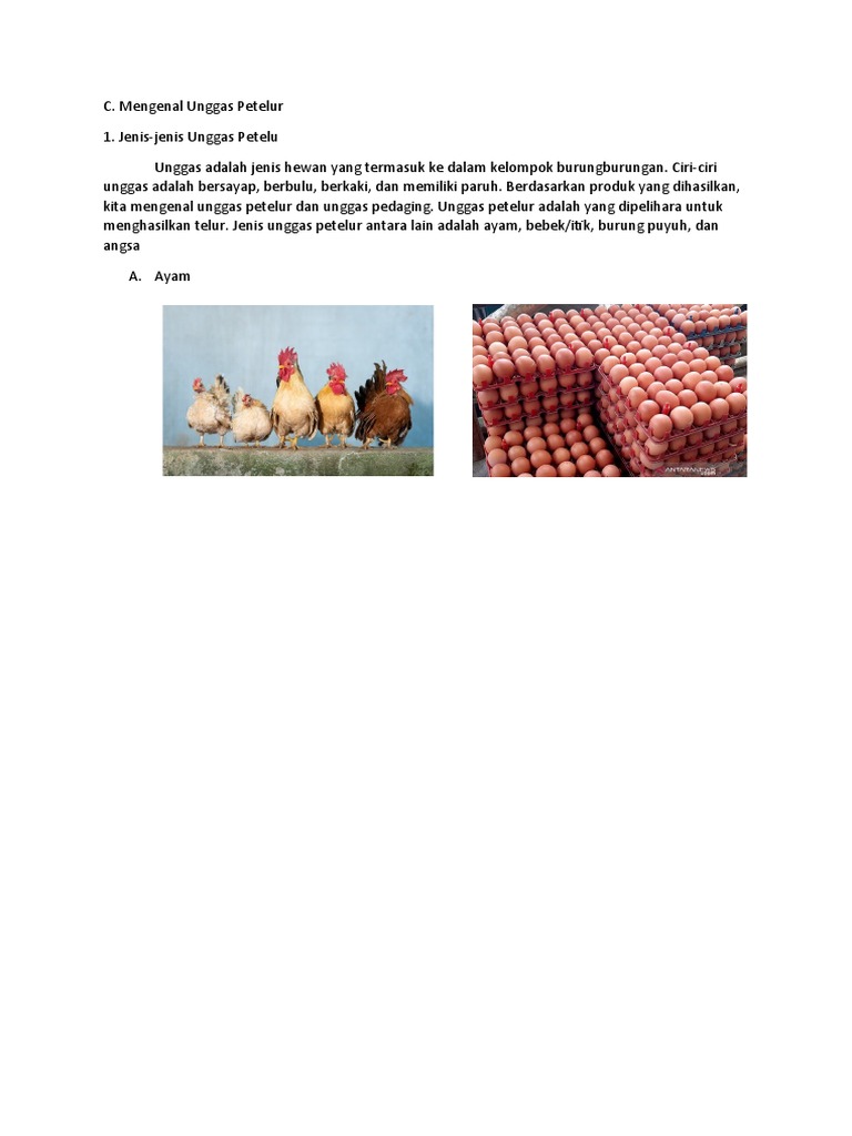 C. Mengenal Jenis Unggas | PDF