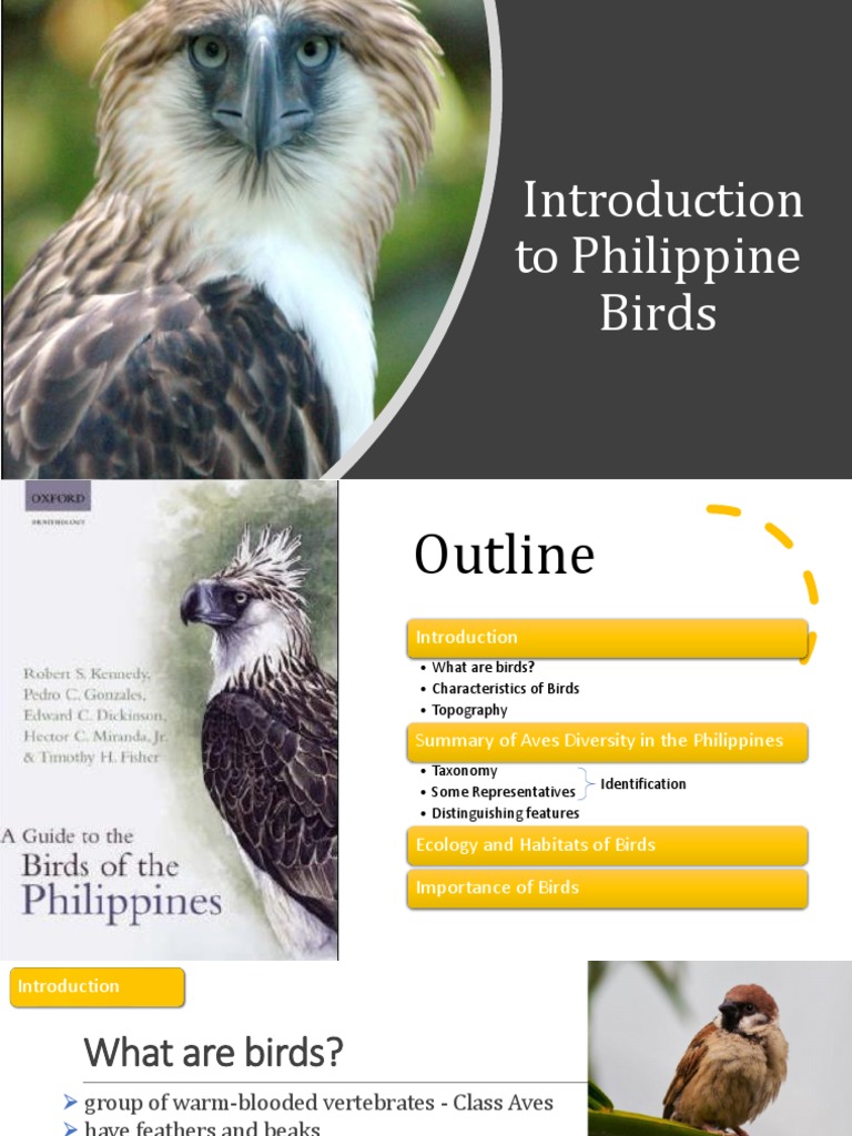 BDV 100 Introduction To Philippine Birds | PDF | Feather | Habitat