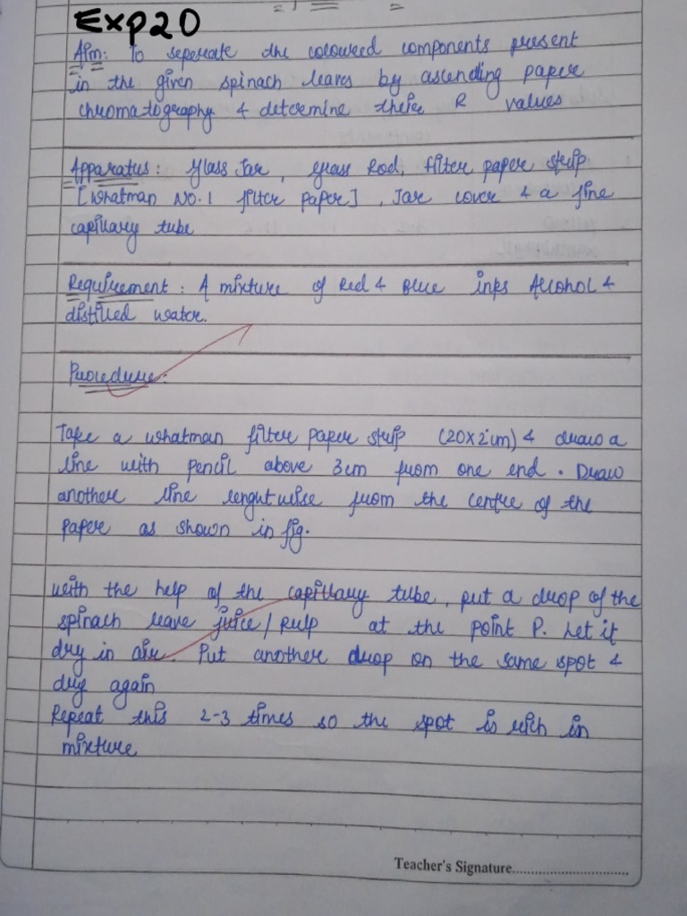 Chem Practical. | PDF