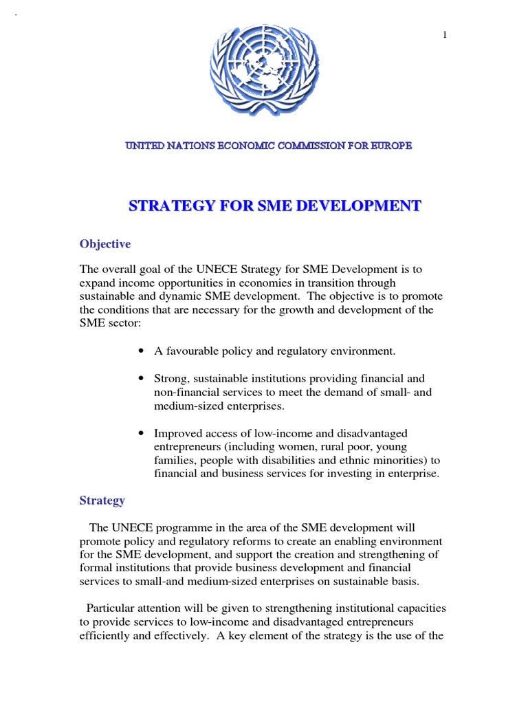 SME Development Plan | PDF | Small And Medium Sized Enterprises ...