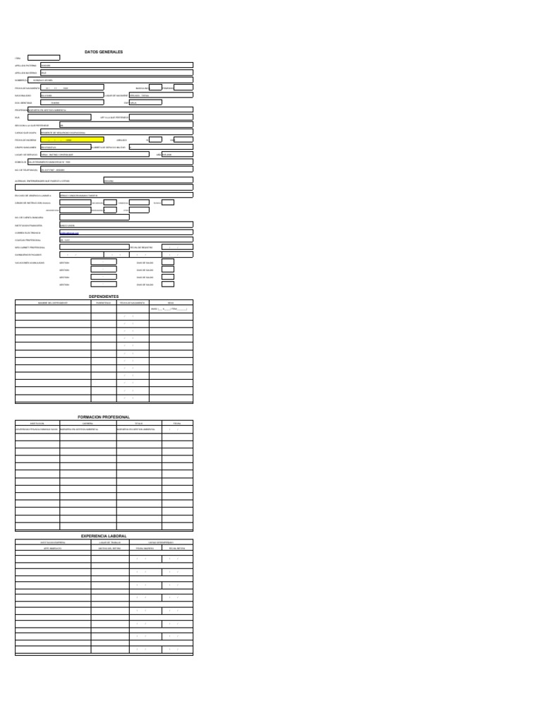 Formulario Llenado Doc. Gonzalo Leonel Condori Cruz | PDF