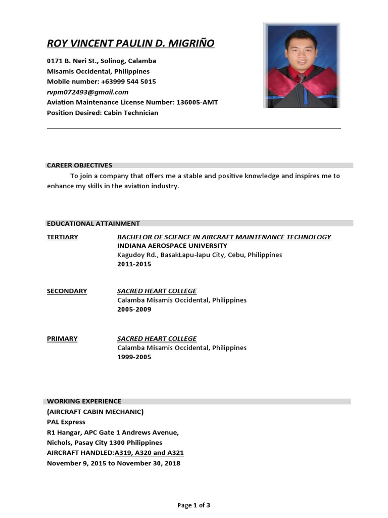 CV Roy Vincent | PDF | Aviation | Aircraft