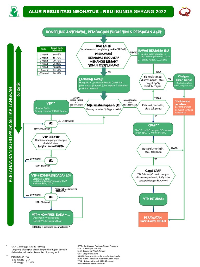 Alur ResNeo ID FInal 24-1-2022 | PDF