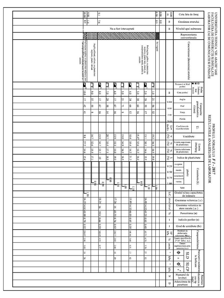 Fisa Foraj F1 Model Completat | PDF