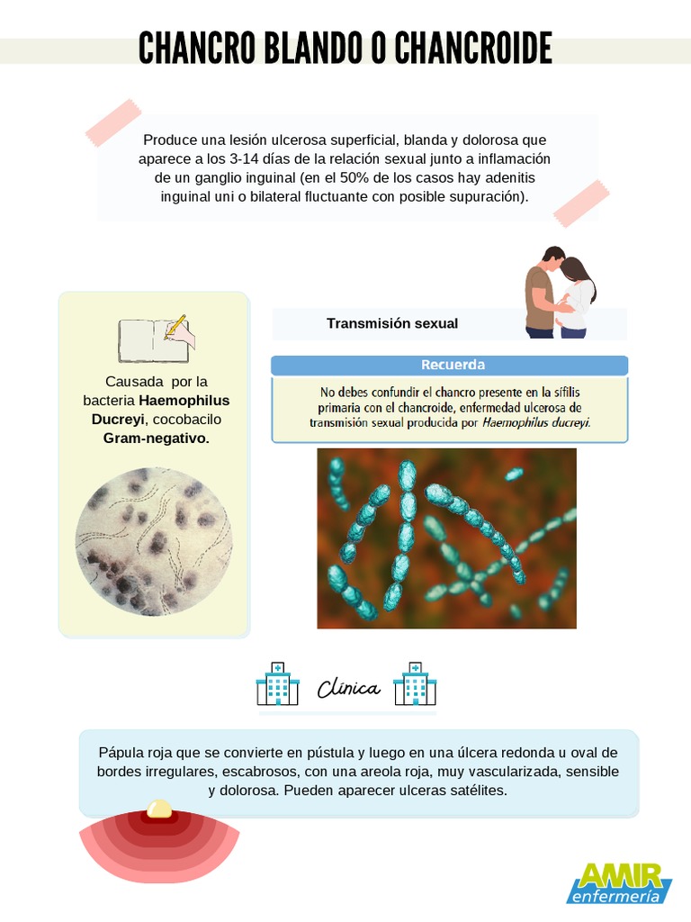 Chancro Blando o Chancroide (EIR 53 2020) | PDF