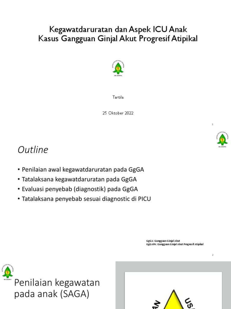 DR Tartila Webinar Dinkes 25 Oktober 2022 Aspek Kegawatan Dan ICU Anak ...