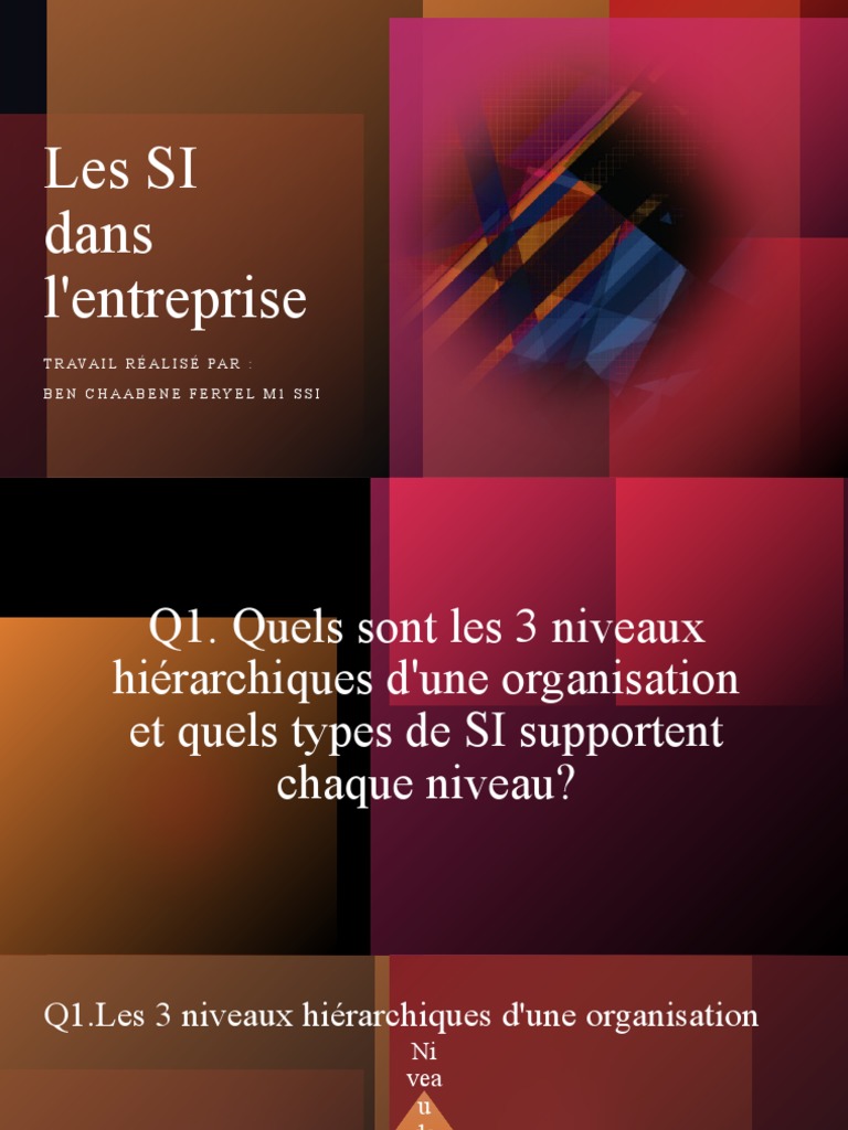 Management Des Systèmes D'information | PDF | Progiciel de gestion ...