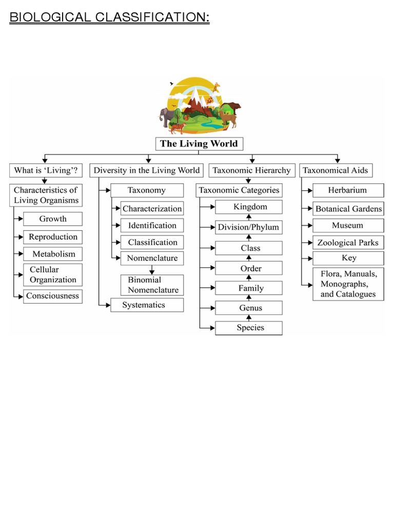 Biology Cheat Sheet Overview | PDF | Social Science | Wellness