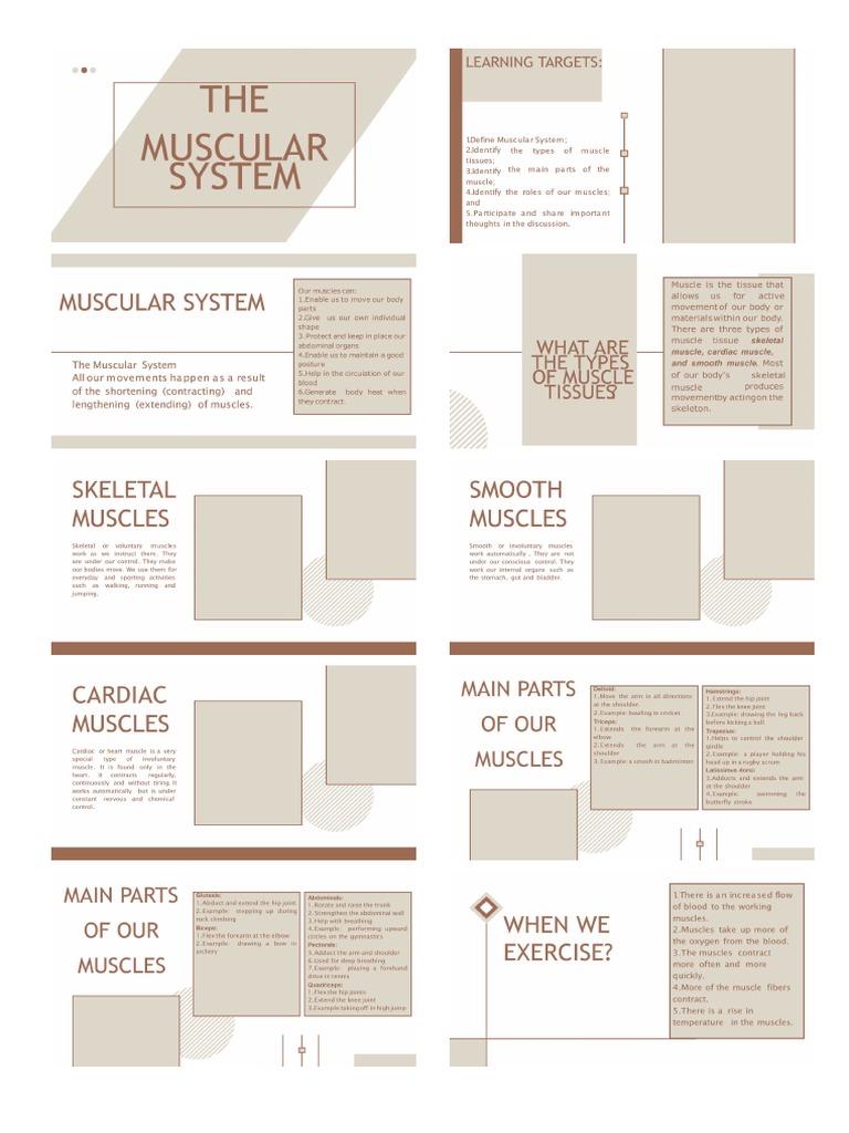 The Muscular System | PDF