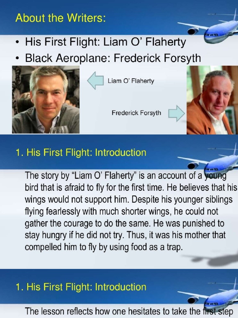 Two Stories About Flying | PDF