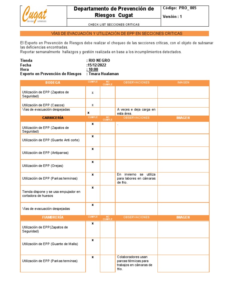 CHECK LIST AREAS CRITICAS EPP Tarea 13 Dic | PDF