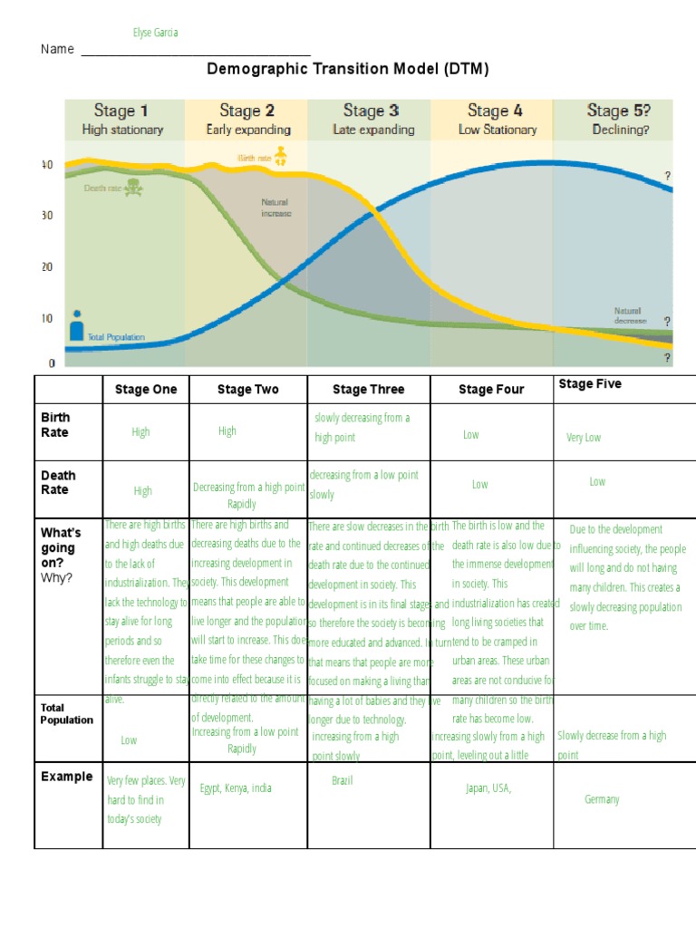 DMT & Population Pyramid Worksheet | PDF | Population Growth | Population