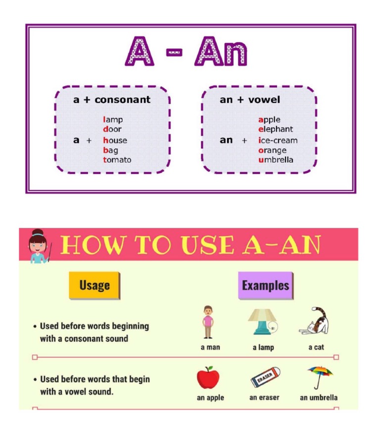 Article A & An | PDF