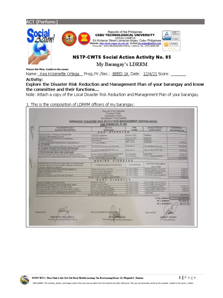Kea Krizenette Ortega - CWTS 1 - Social Action Activity 5 | PDF ...