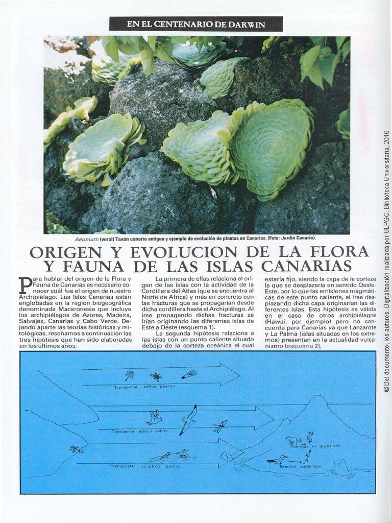 Origen Y Evolucion de La Flora Y Fauna de Las Istas Canarias | PDF | Islas Canarias | Evolución