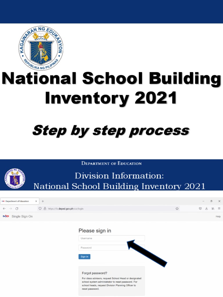 NSBI Step by Step Presentation | PDF