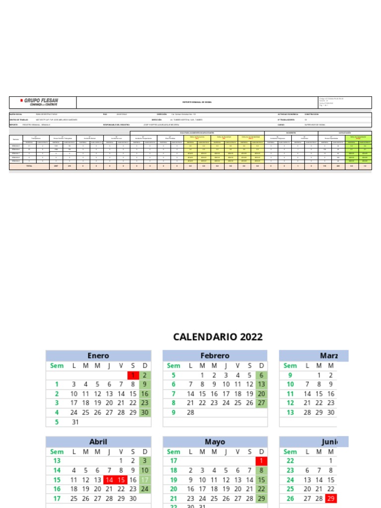 FORMATO Reporte Semanal SSOMA | PDF FORMATO Reporte Semanal SSOMA | PDF