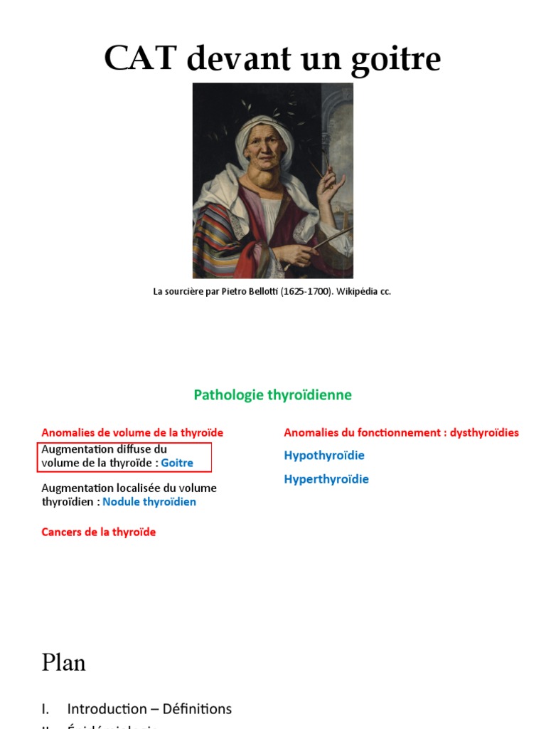 Cat Devant Un Goitre | PDF | Thyroïde | Hyperthyroïdie