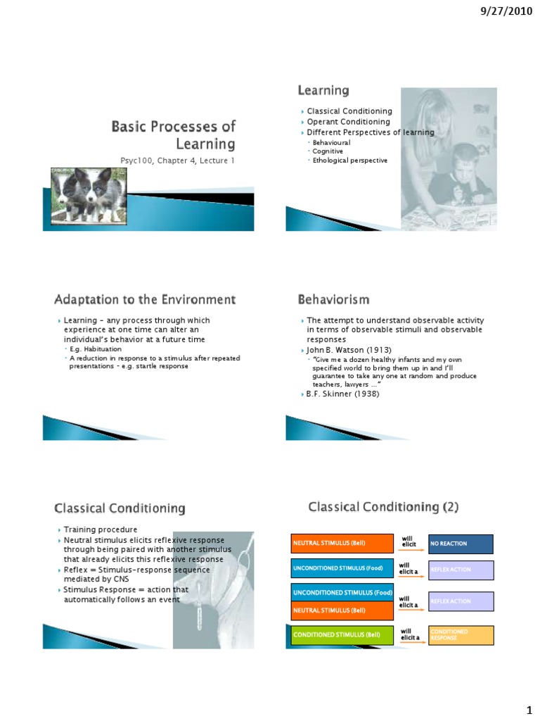 Psyc100, Chapter 4, Lecture 1: Neutral Stimulus (Bell) | PDF ...