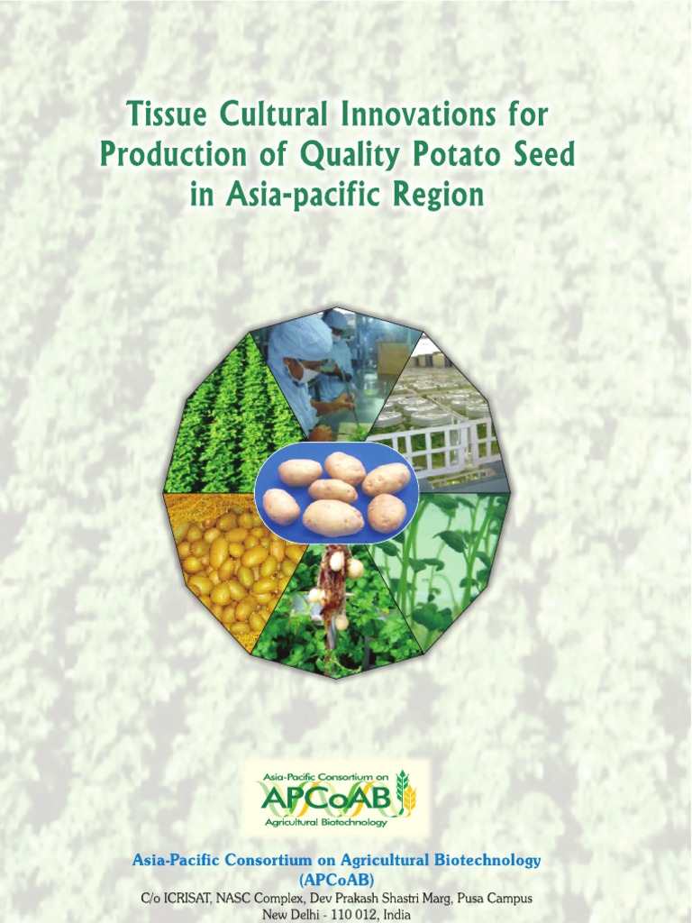 Potato Tissue Culture Innovations For Asia Pacific | PDF | Potato ...