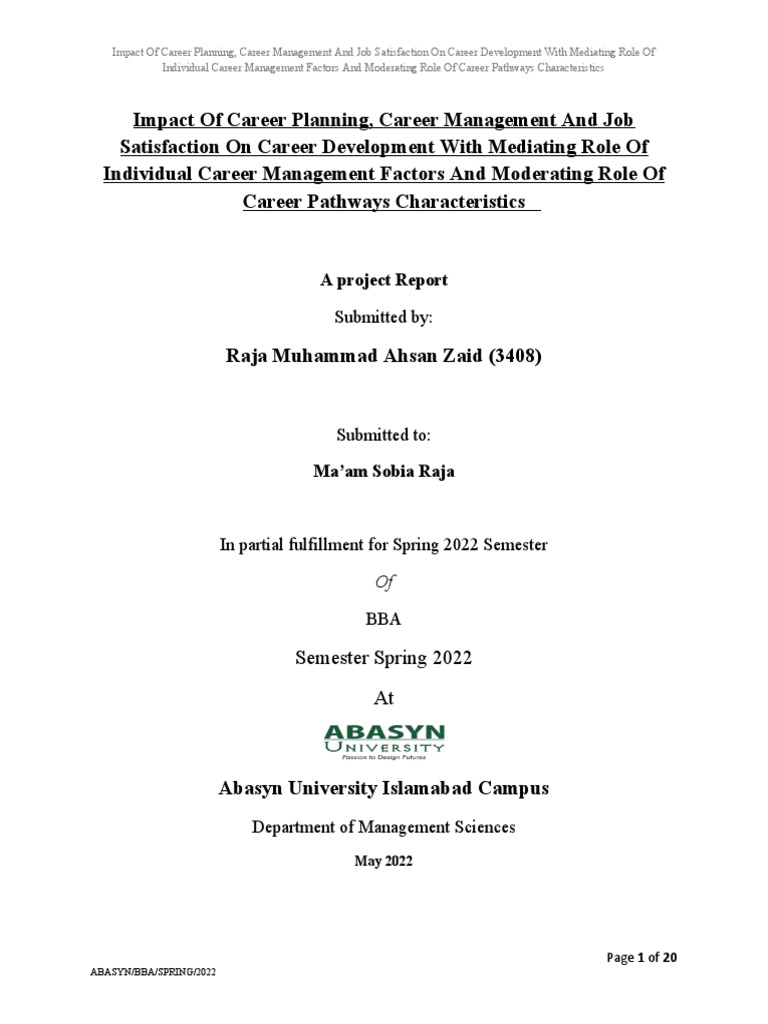 BRM Final Project | PDF | Survey Methodology | Job Satisfaction