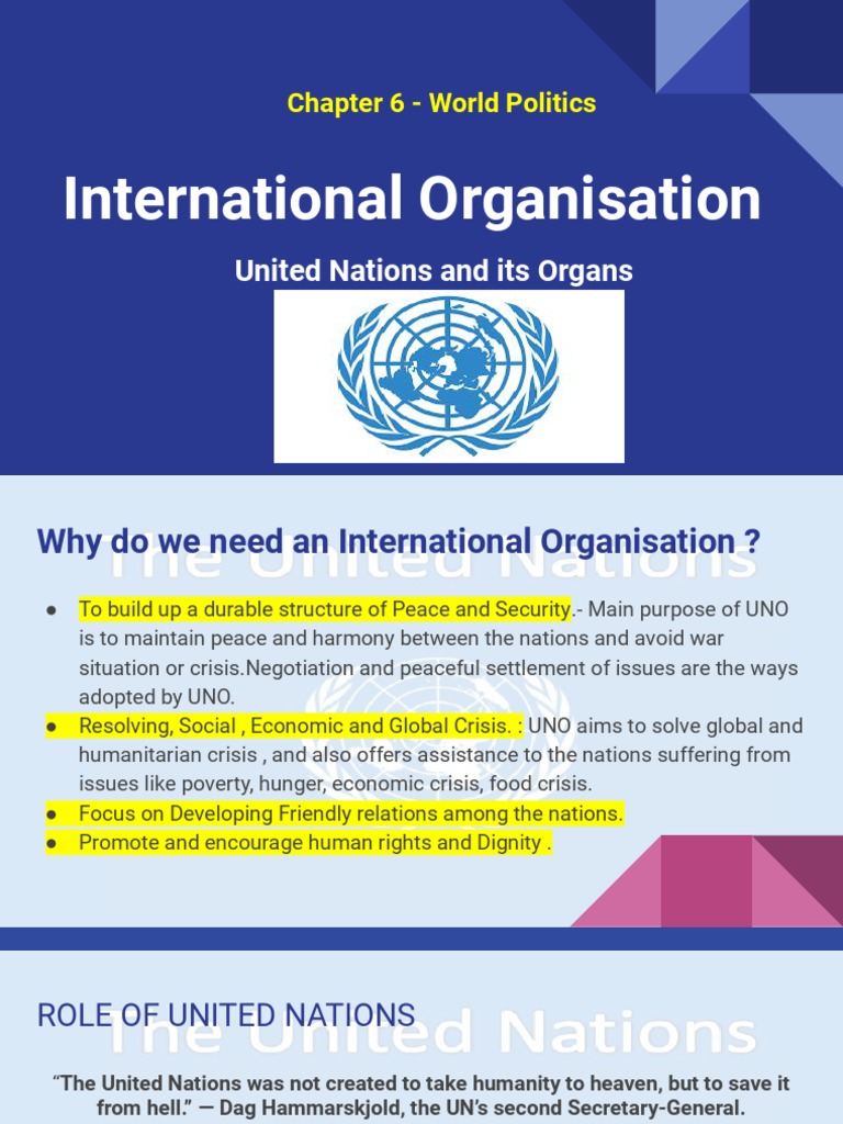 International Organisation | PDF | United Nations | International Relations