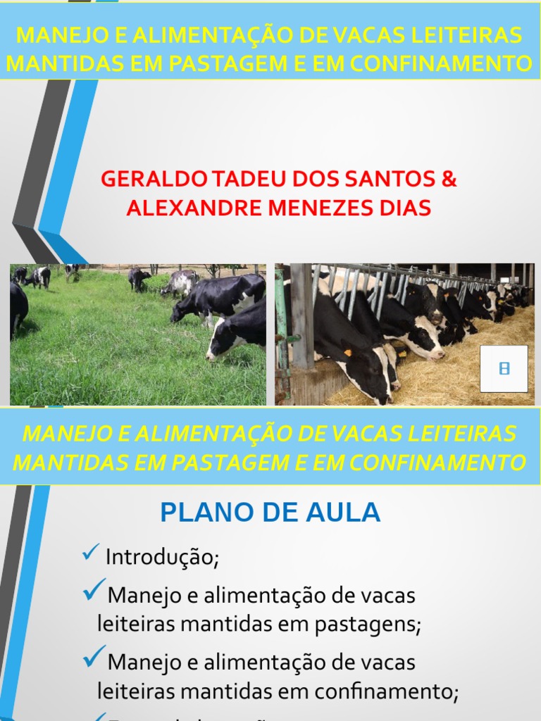 Manejo Alimentacao Vacas | PDF | Leite | Pasto