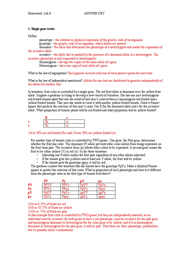 Genetics Homework Lab 8 Key | PDF | Dominance (Genetics) | Allele