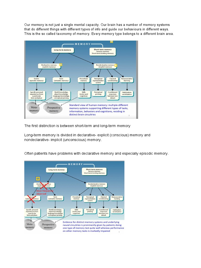 Our memory taxonomy guide to systems and case studies | PDF | Memory | Amnesia