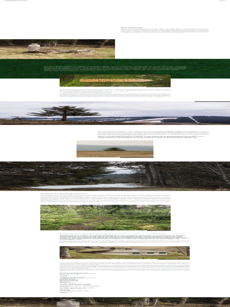 Thinking Place | PDF | Martin Heidegger | Poetry