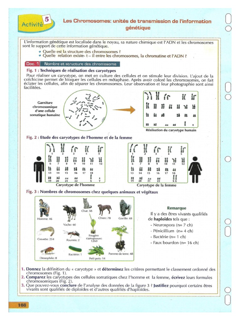 Cours SVT SM | PDF