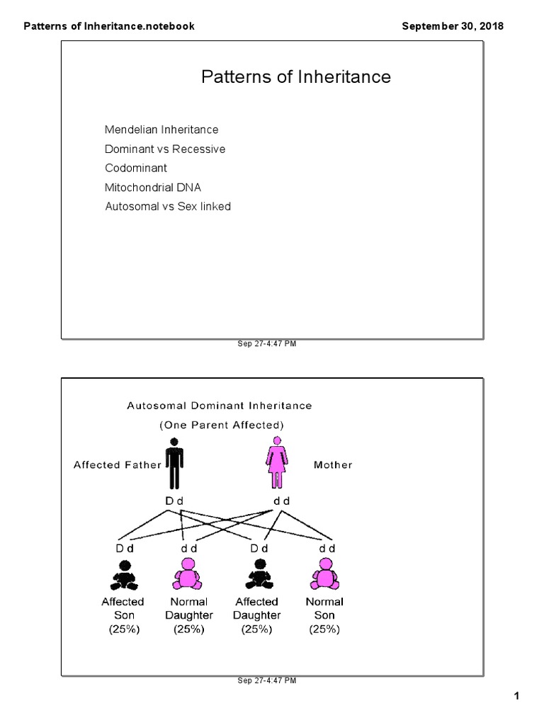 Patterns Of Inheritance Pdf Dominance Genetics Life Sciences