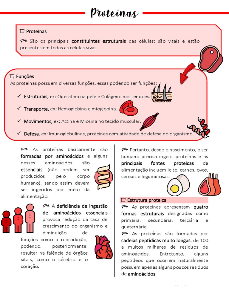 Resumo Proteinas | PDF | Proteínas | Macromoléculas