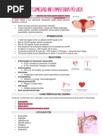 Inserto Esfinto Plus | PDF | Medicina CLINICA | Especialidades Medicas