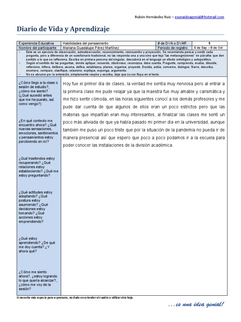 Dva Formato | PDF | Pensamiento | Aprendizaje