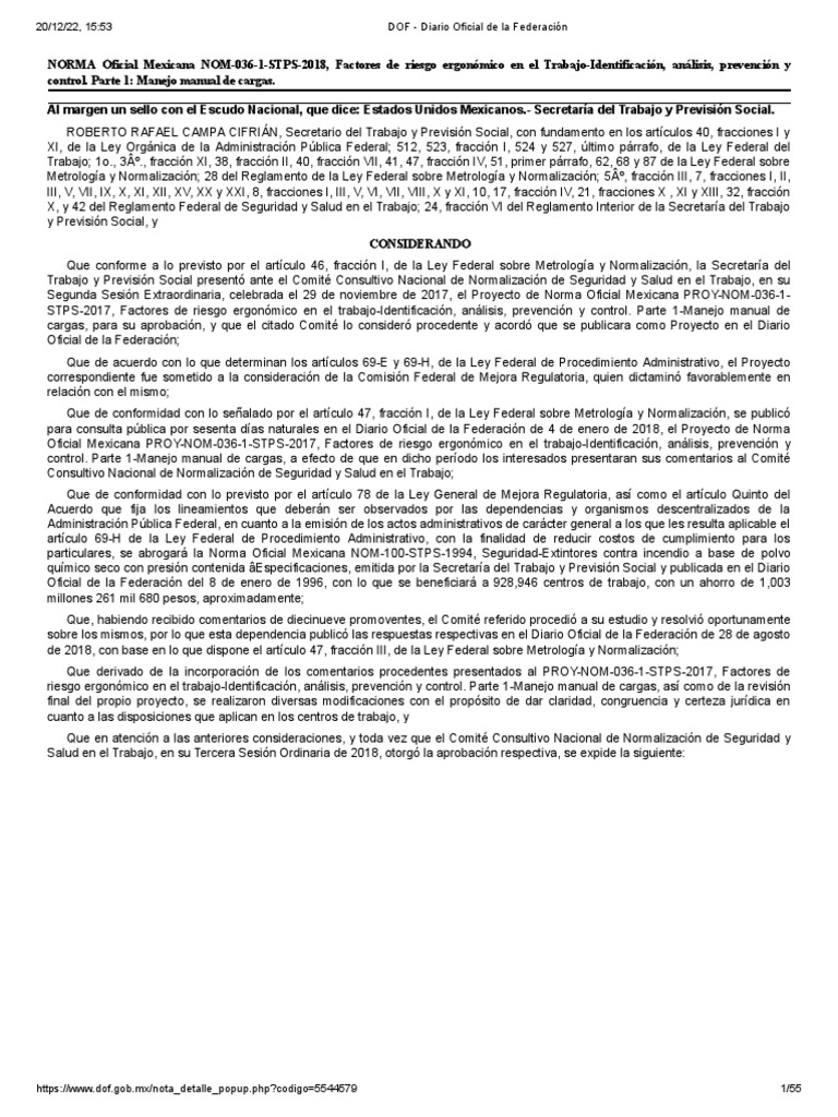 Nom 036 1 STPS 2018 | PDF | Factores humanos y ergonomía | Riesgo