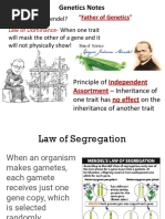 2C.2 Patterns of Inheritance PPT | PDF | Dominance (Genetics) | Zygosity