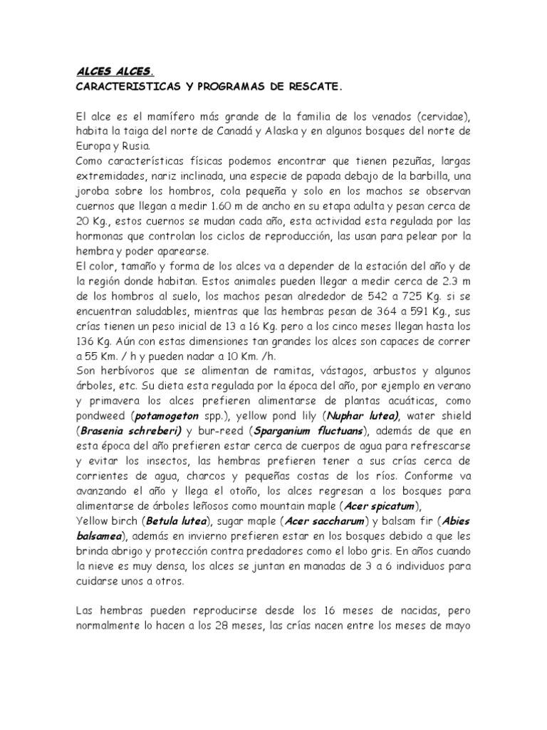 Alces: Peligro y Programas de Rescate | PDF | Alce | Ciervo