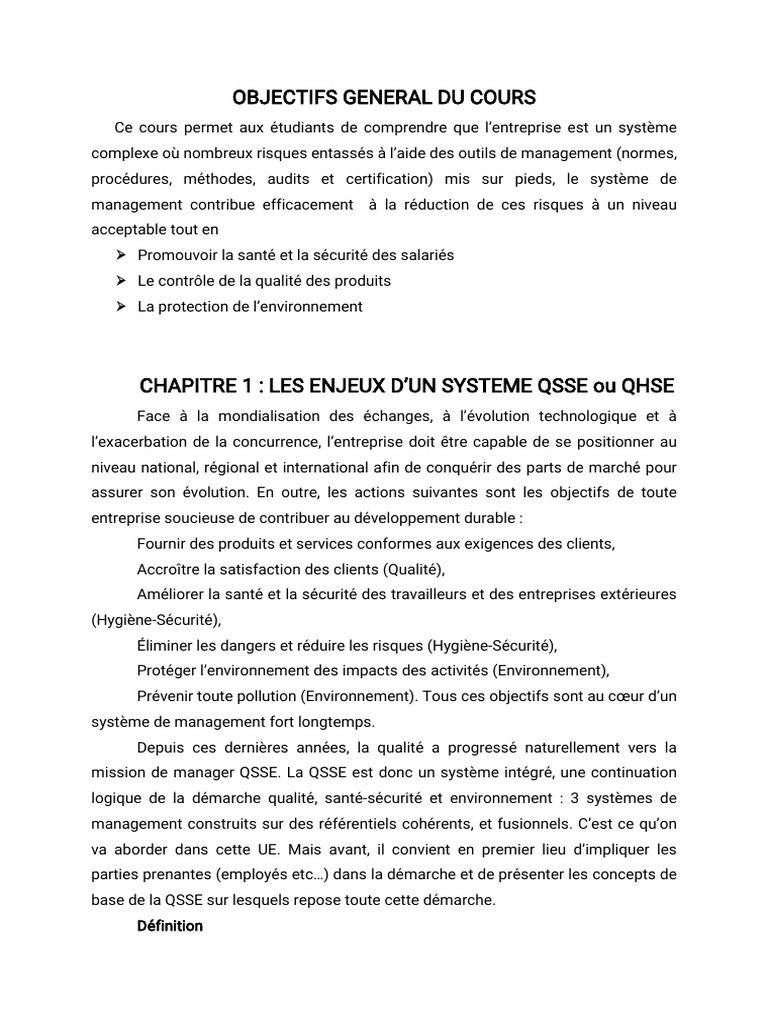 Système Intégré QSSE : Objectifs et Enjeux | PDF