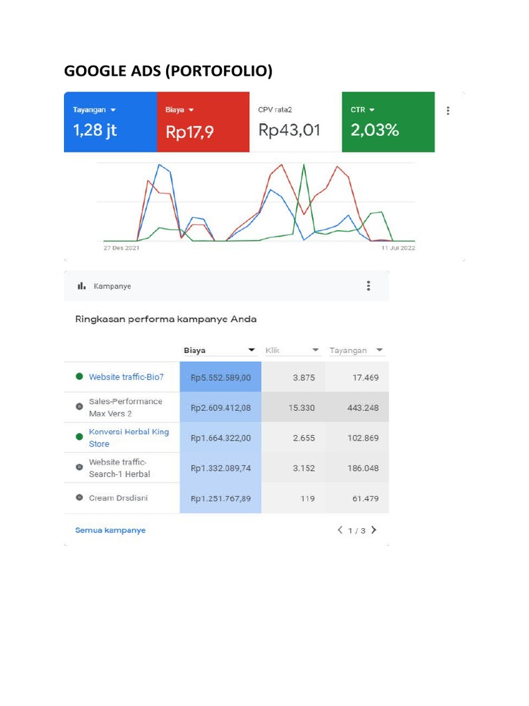 GOOGLE ADS (Portofolio) | PDF