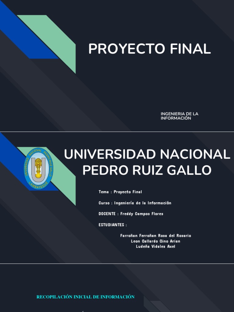 Proyecto Final | PDF