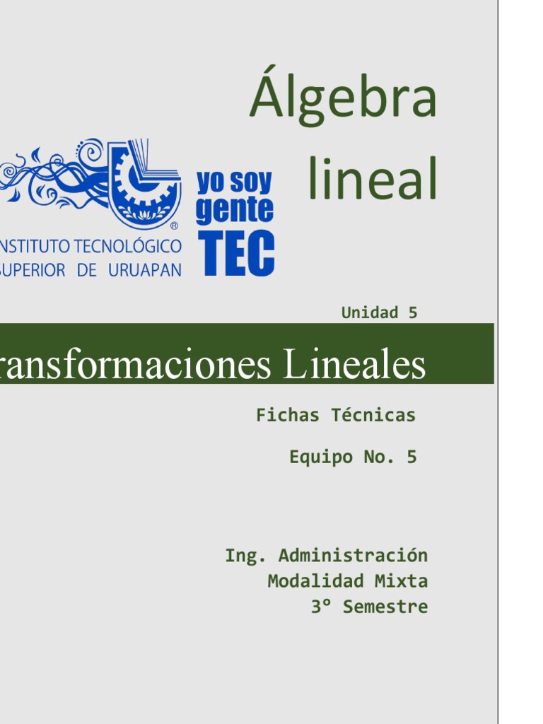 FICHAS U5 | Descargar gratis PDF | Mapa lineal | Linealidad