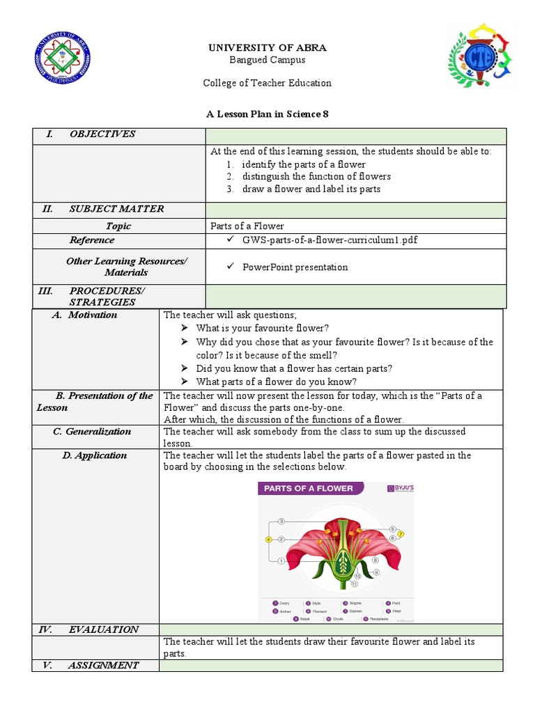 Parts Of A Flower Description Printable
