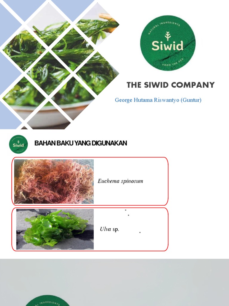 The Siwid Company | PDF