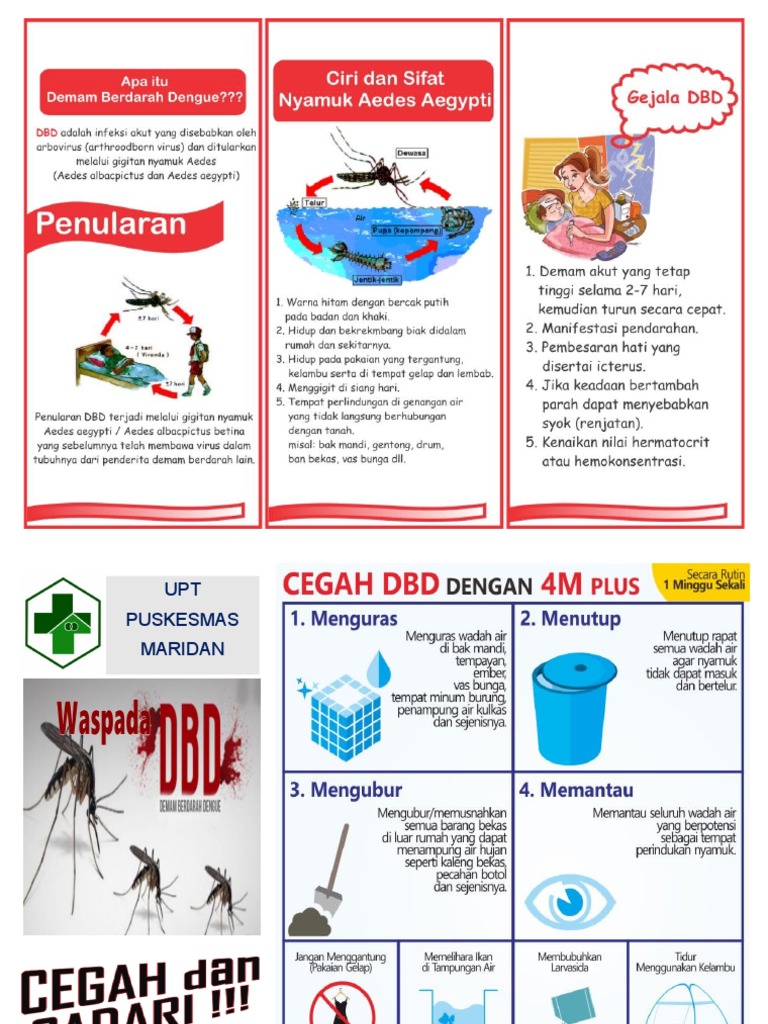 Leaflet DBD | PDF